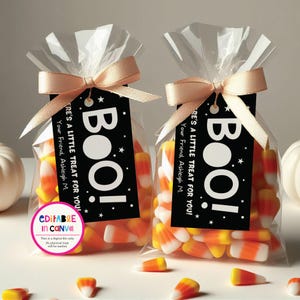 Boo! Here's a Little Treat for You! | Halloween Goodie Tags | Editable ...