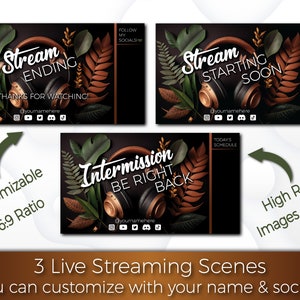 Cozy Vintage Stream Scene Overlays | Twitch Stream Overlay | Kick ...