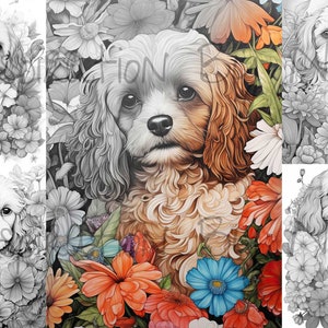 Cavapoo in Flowers Coloring Pages, 20 Premium Coloring Sheets, Coloring ...