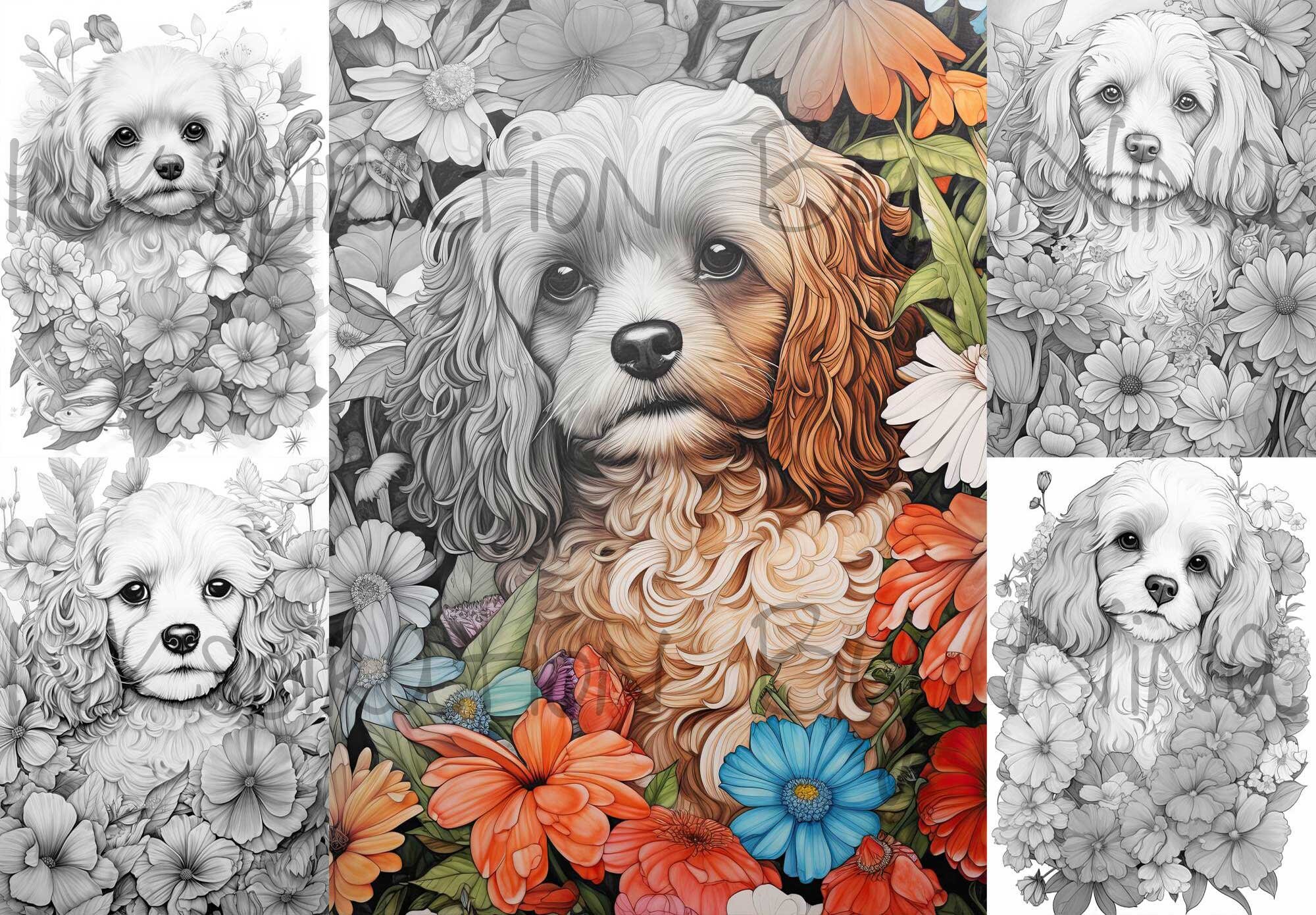 Cavapoo in Flowers Coloring Pages, 20 Premium Coloring Sheets, Coloring ...