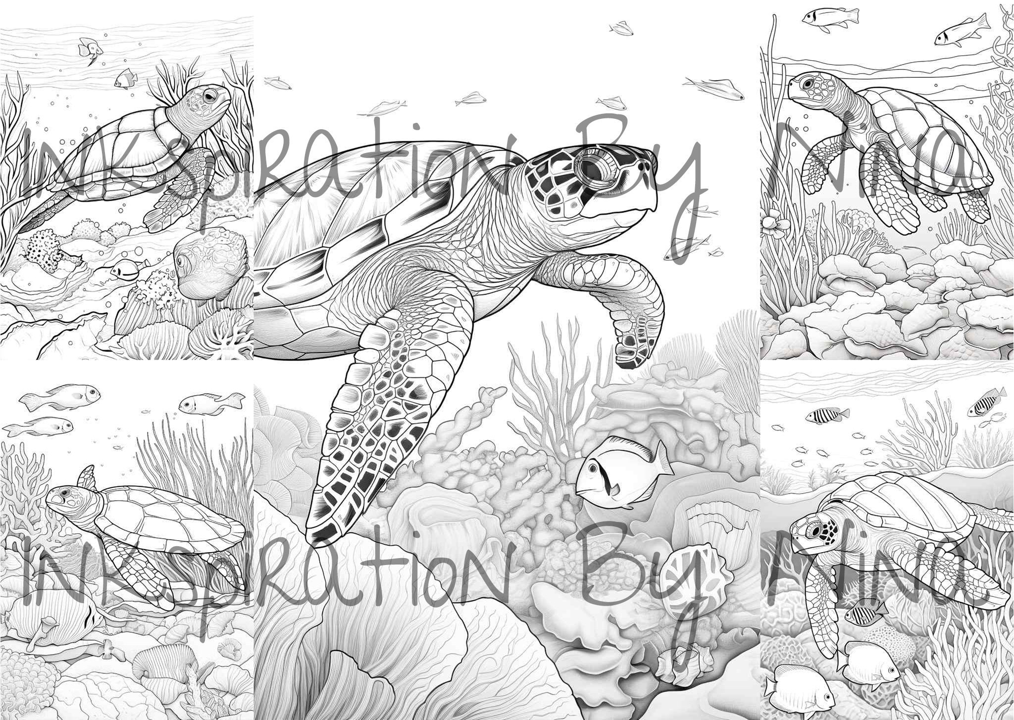 Coral Reef Swimming Turtle Coloring Book, 20 Detail Greyscale Adult ...