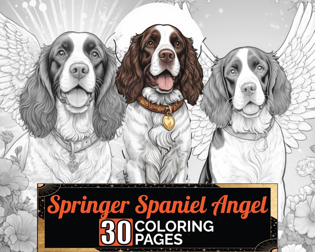 Springer Spaniel Angel Coloring Book, 30 Detail Greyscale Adult & Kids ...