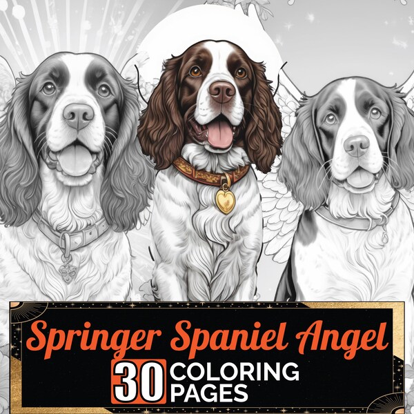 Springer Spaniel - Etsy