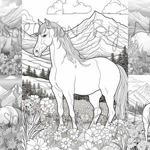 Horse on A Flower Meadow Field Coloring Pages, 25 Premium Adult Kids ...