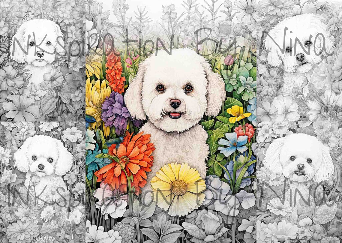 Bichon Frise in Flowers Coloring Book, 20 Detail Greyscale Adult & Kids ...