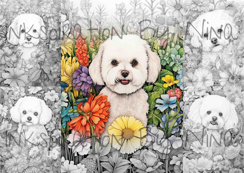 Bichon Frise in Flowers Coloring Book, 20 Detail Greyscale Adult & Kids ...