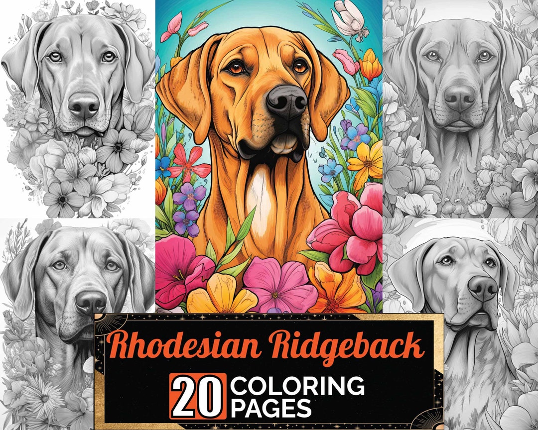 Rhodesian Ridgeback Coloring Pages, 20 Premium Adult Coloring Sheets ...