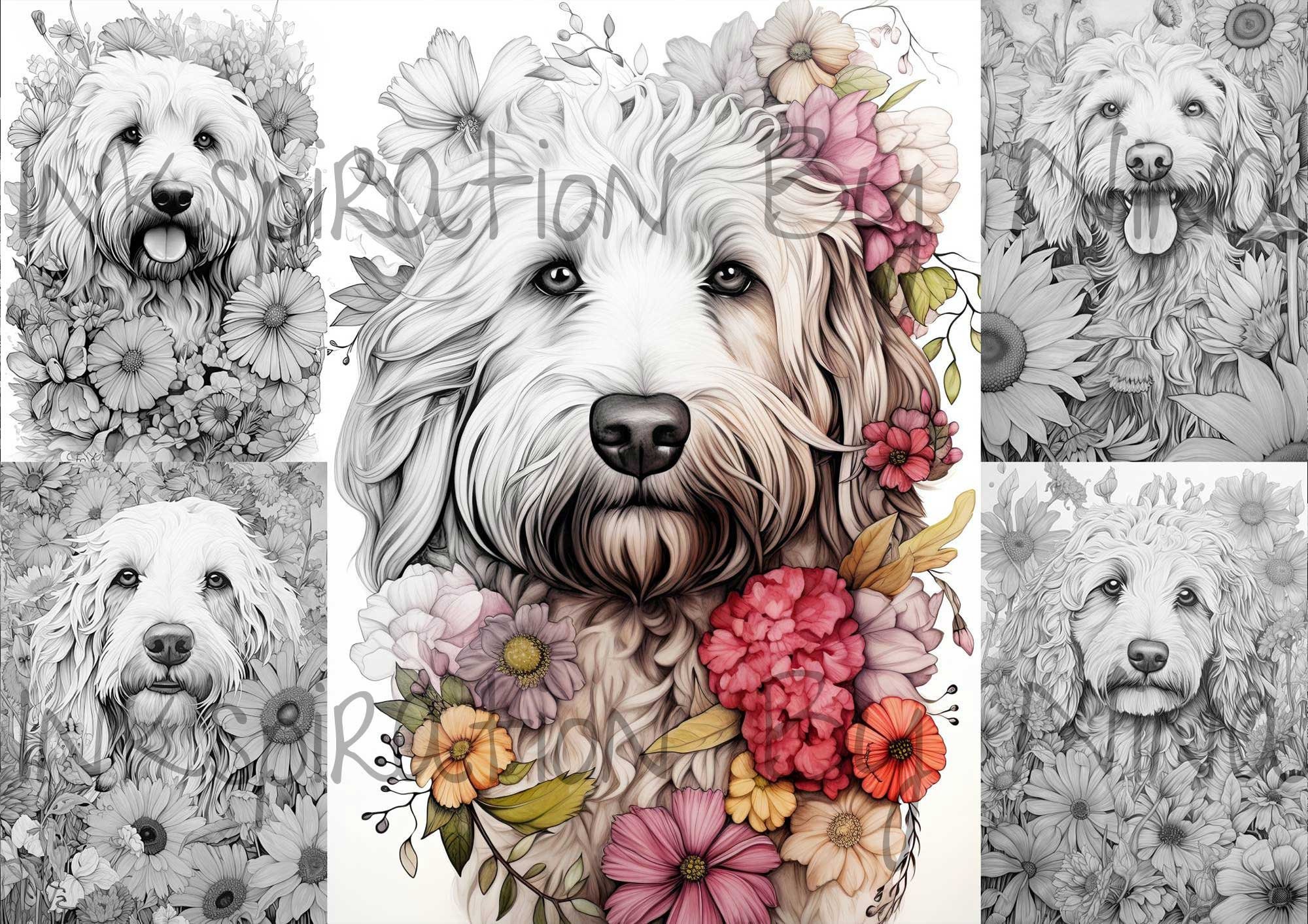Labradoodle Dog in Flowers Coloring Pages, 20 Premium Adult & Kids ...