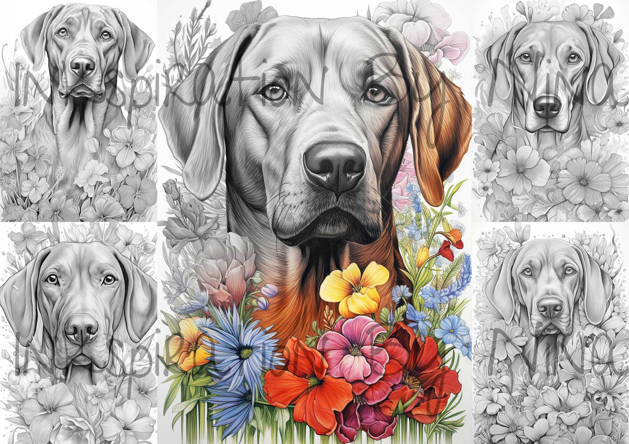 Rhodesian Ridgeback Coloring Pages, 20 Premium Adult Coloring Sheets ...