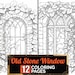 Beautiful Old Stone Window Coloring Book, 12 Detail Greyscale Adult ...