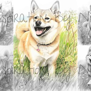 Shiba Inu Outside Coloring Book, 20 Premium Adult & Kids Cute Dog ...