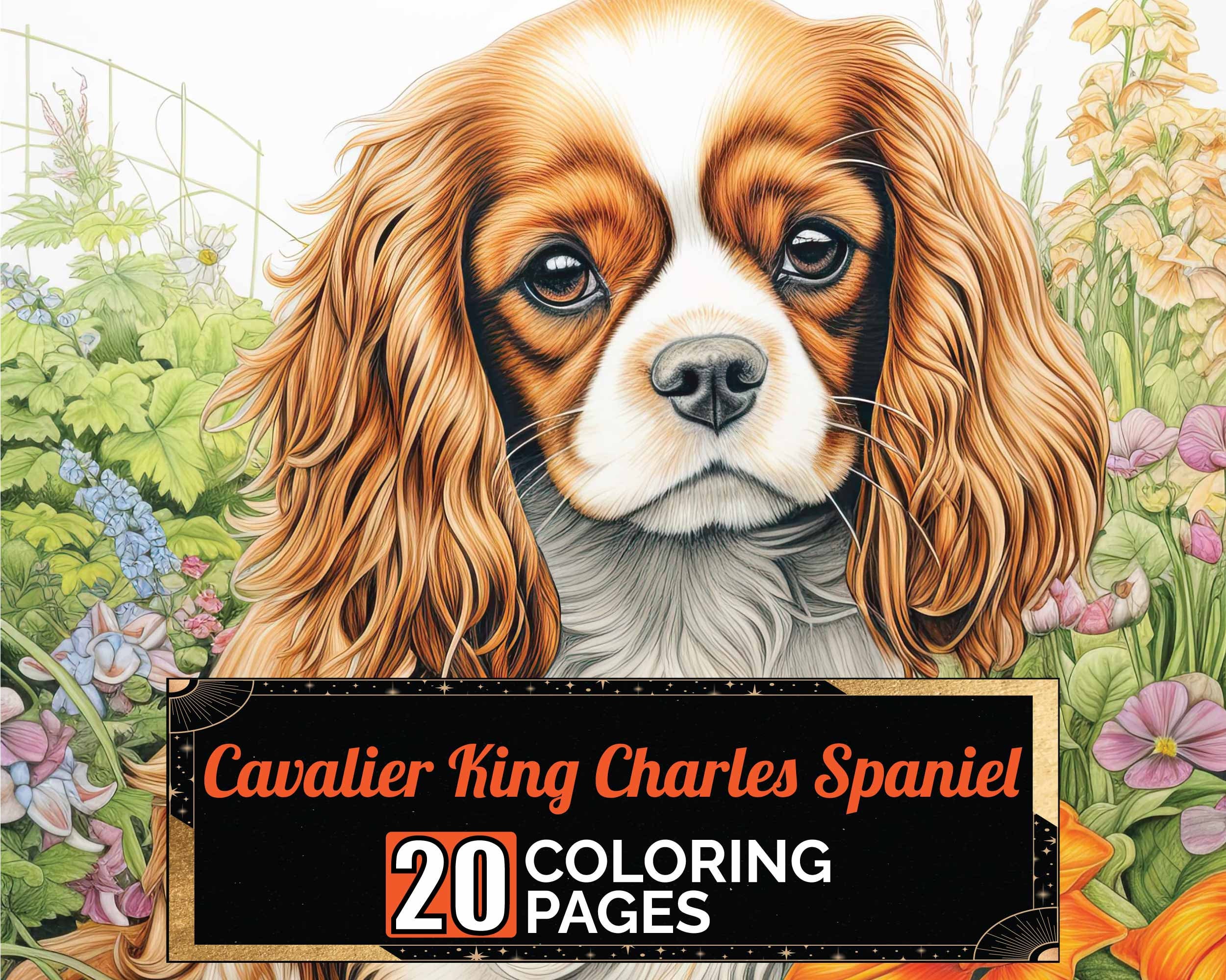 King Charles Cavalier Coloring Pages