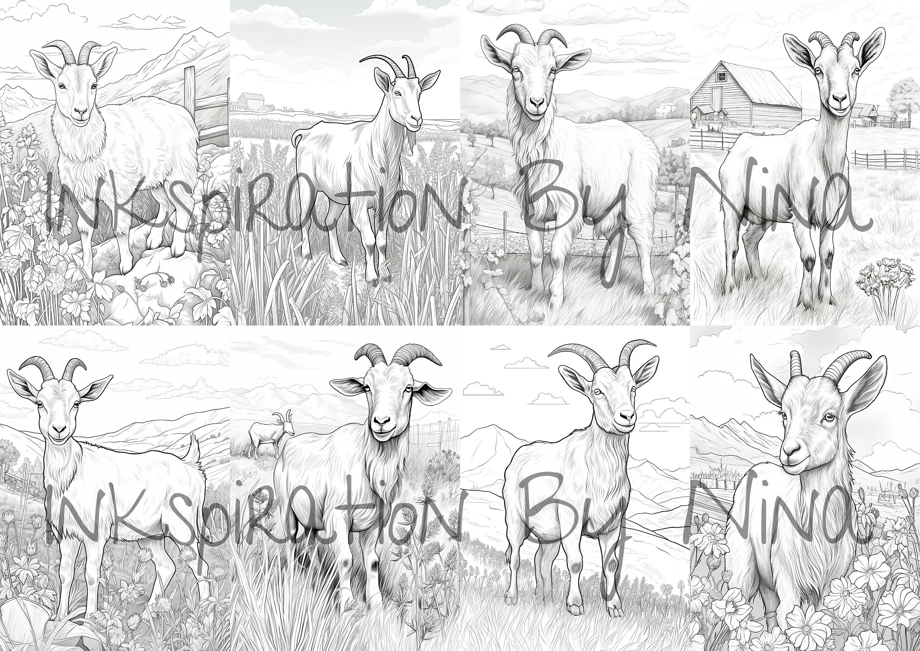 Farmland Goat Coloring Book, 23 Greyscale Adult & Kids Farm Animal ...