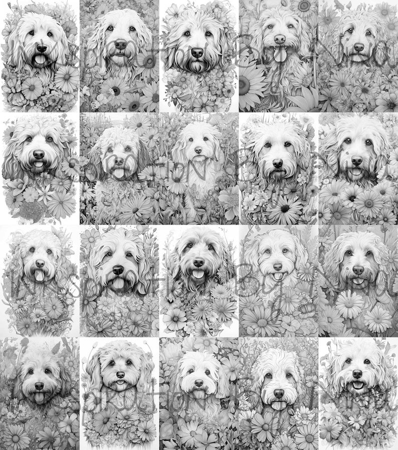 Labradoodle Dog in Flowers Coloring Pages, 20 Premium Adult & Kids ...