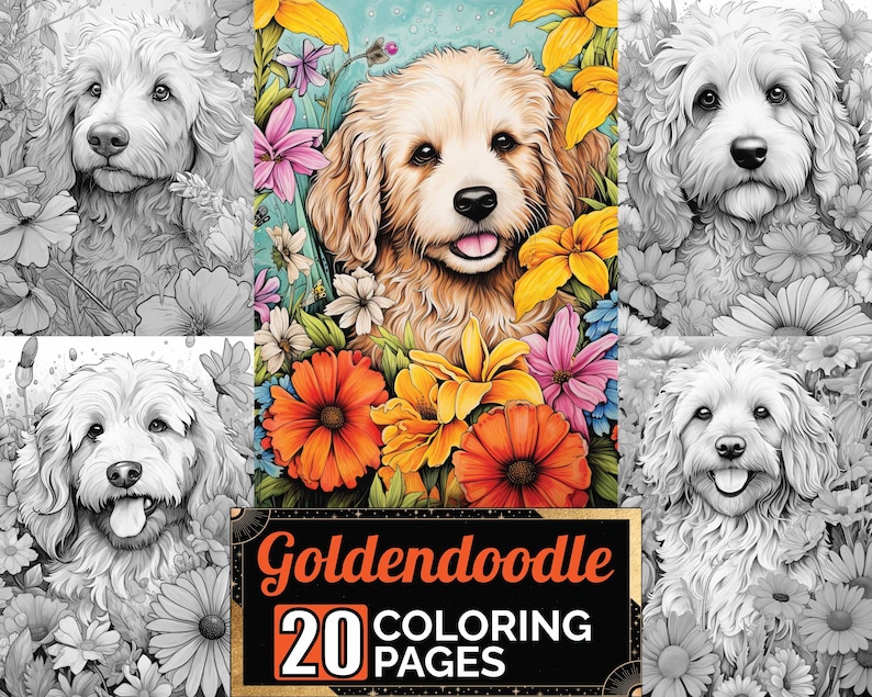 Goldendoodle Cute Dog Outside Coloring Pages, 20 Premium Adult & Kids ...