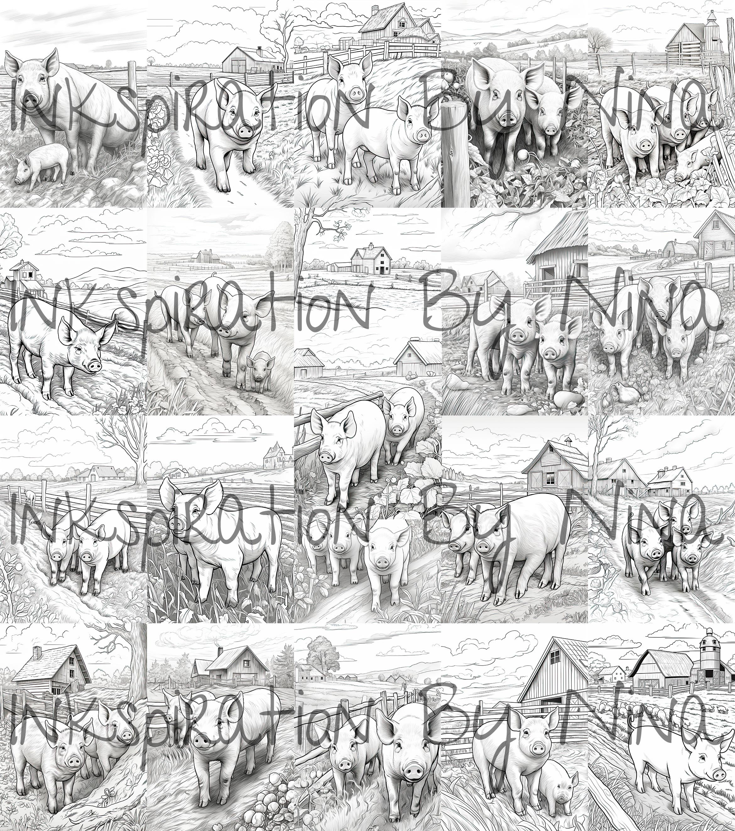 Farmland Pig Coloring Book, 21 Greyscale Adult & Kids Farm Animal ...