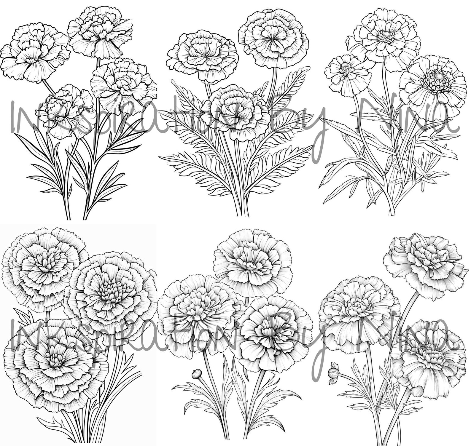 Marigold Flower Coloring Book, 24 Detail Floral Greyscale Adult & Kids ...