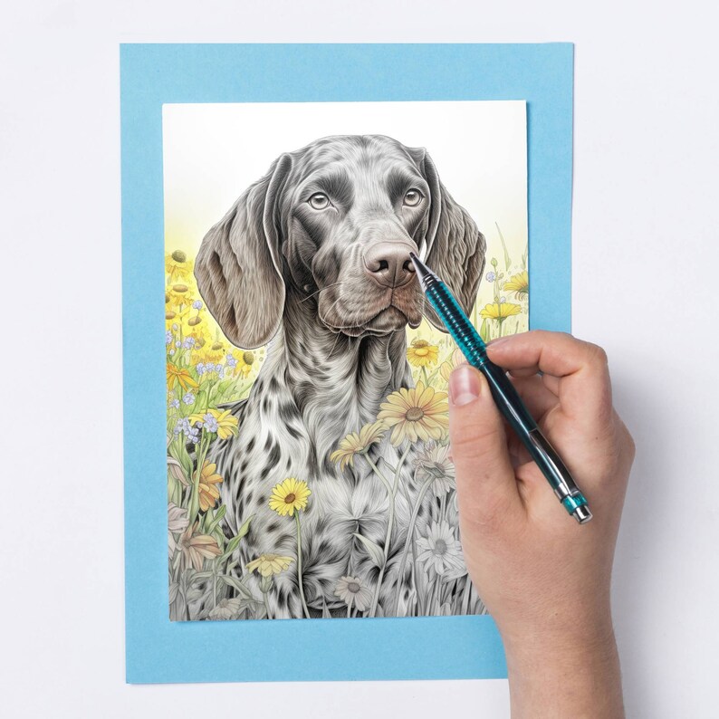 German Shorthaired Pointer in Flowers Coloring Pages, 20 Premium Adult ...