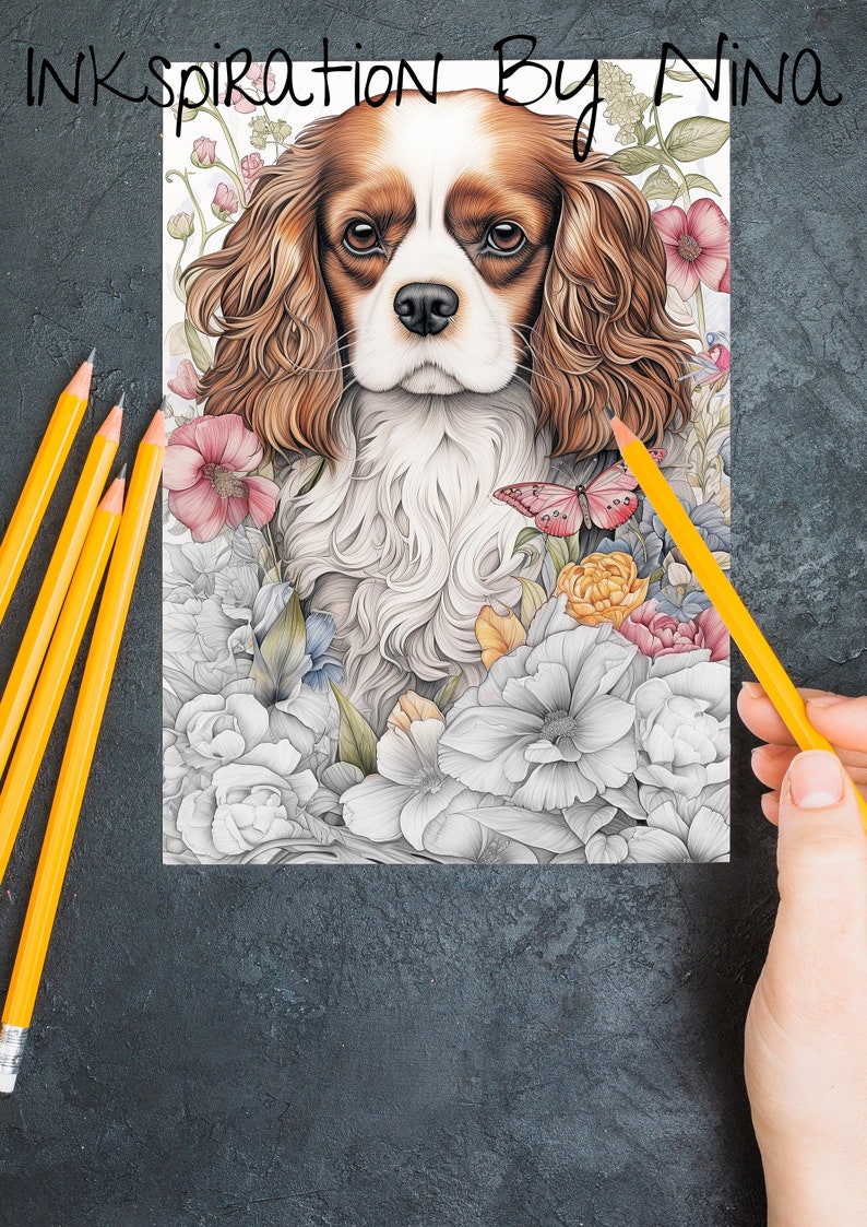 Cavalier King Charles Spaniel Coloring Pages, 20 Premium Coloring ...