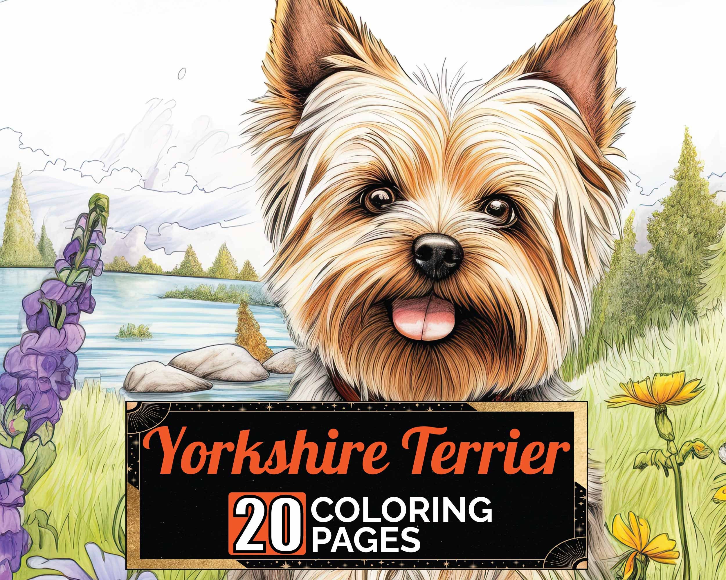 Yorkie Yorkshire Terrier Outdoors Coloring Pages, 20 Premium Coloring ...