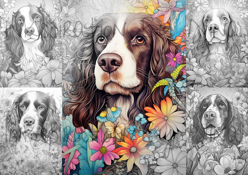English Springer Spaniel Coloring Pages, 20 Premium Dog in Flowers ...