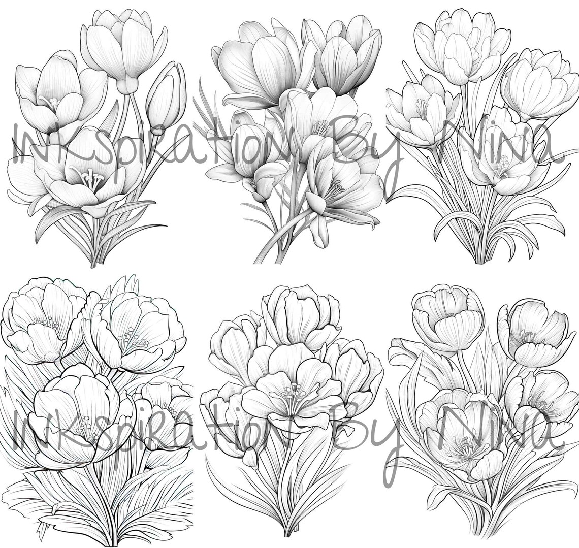 Crocus Flower Coloring Book, 30 Detailed Floral Greyscale Adult & Kids ...