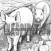 Farmland Pig Coloring Book, 21 Greyscale Adult & Kids Farm Animal ...