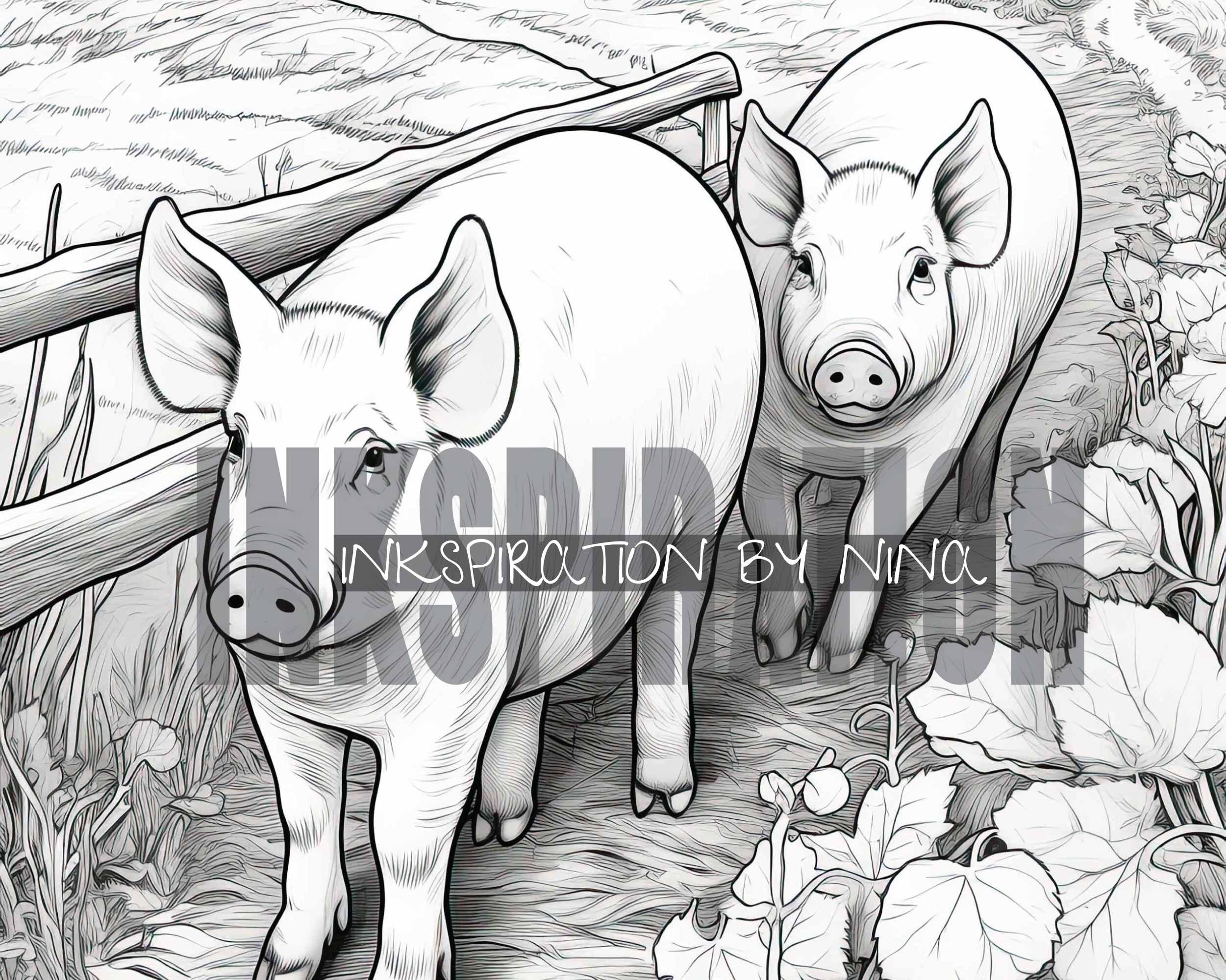 Farmland Pig Coloring Book, 21 Greyscale Adult & Kids Farm Animal ...