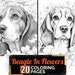 Beagle in Flowers Coloring Book, 20 Detail Greyscale Adult & Kids ...
