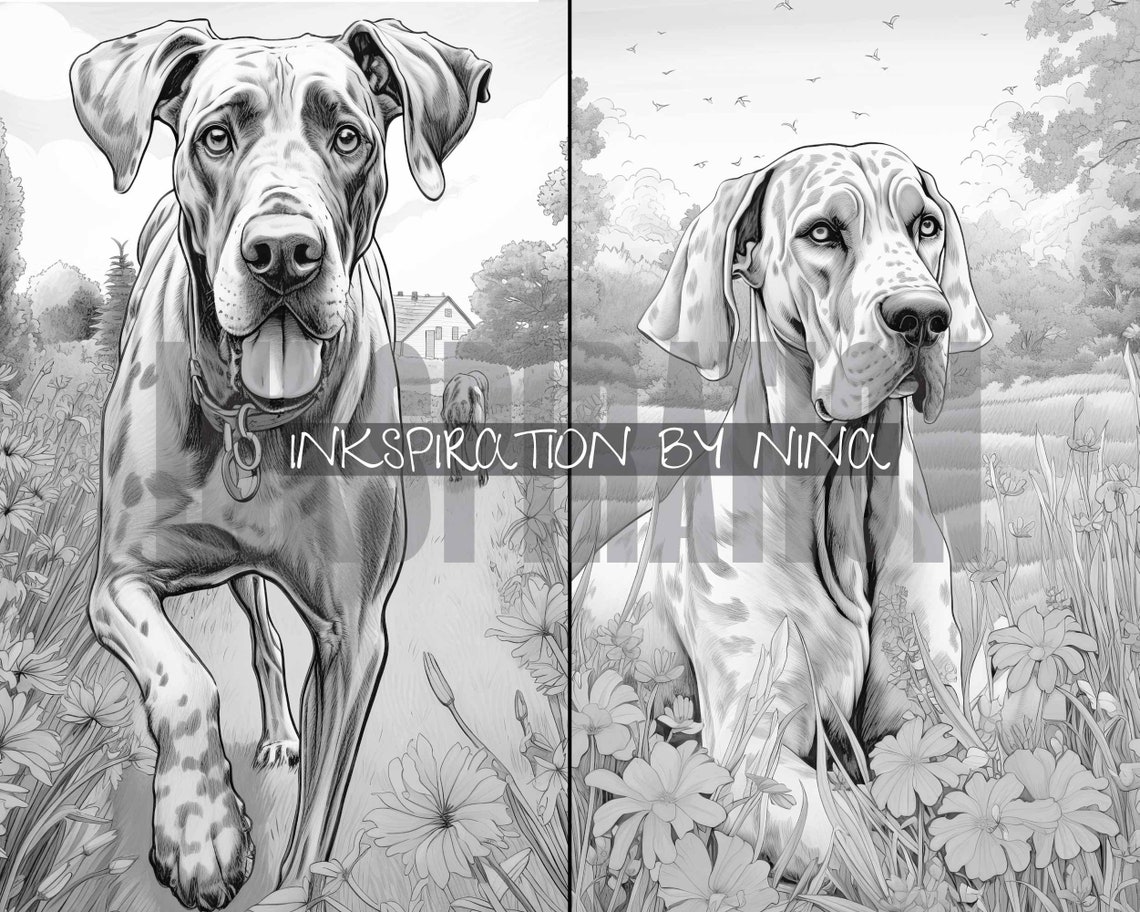 Great Dane Enjoying Outside Coloring Pages, 20 Premium Coloring Sheets ...