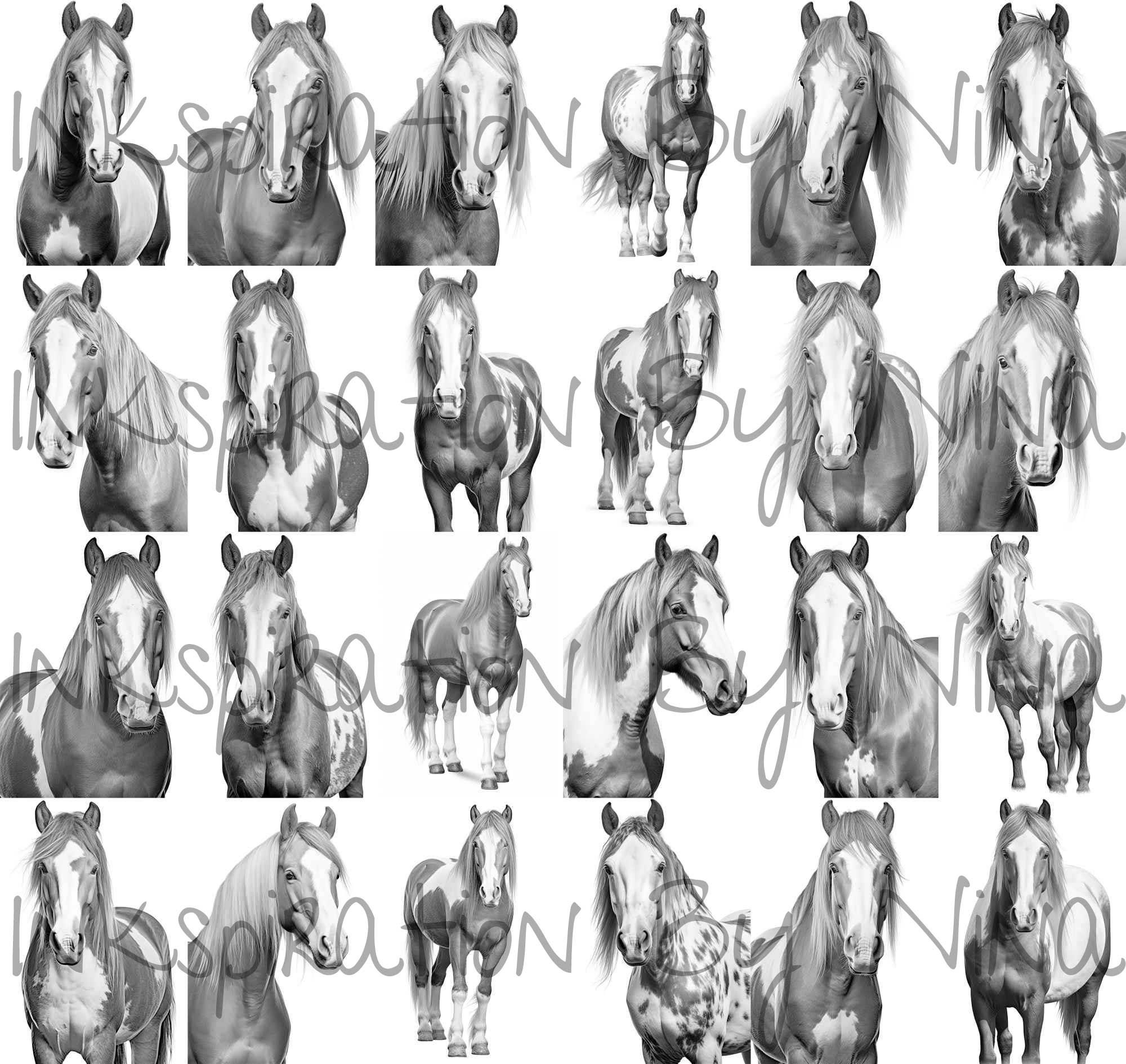 Wild Brown White Horse Coloring Pages, 24 Premium Adult Coloring Sheets ...