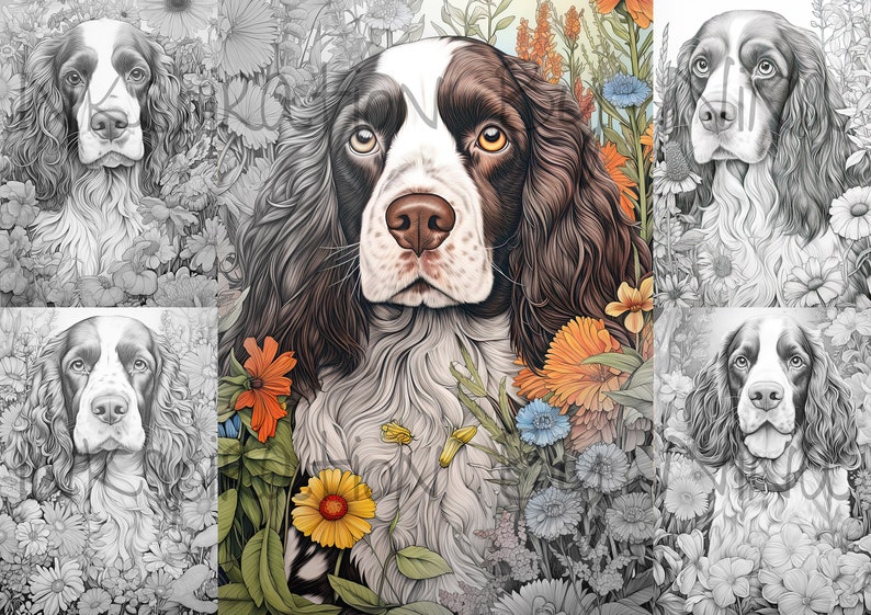 English Springer Spaniel Coloring Pages, 20 Premium Dog in Flowers ...
