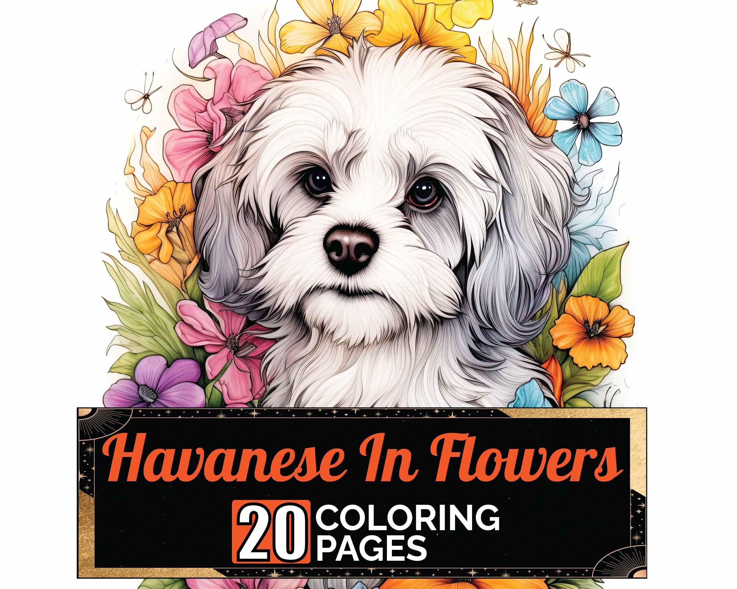 Havanese Dog in Flowers Coloring Pages, 20 Premium Coloring Sheets ...