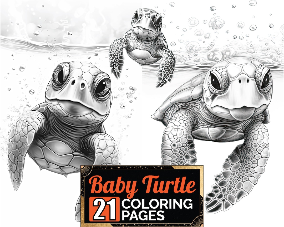 Cute Baby Sea Turtle Coloring Book, 21 Detail Greyscale Adult & Kids ...