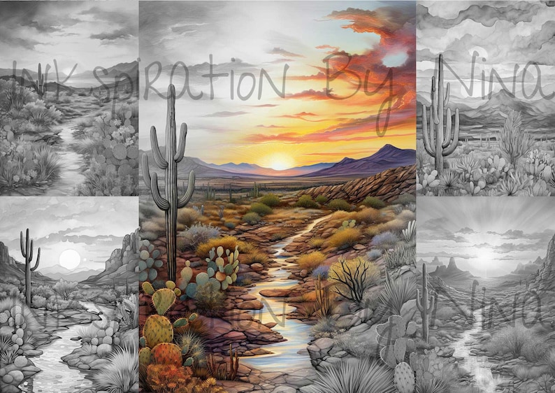 Arizona Desert Sunset Coloring Pages, 20 Premium Coloring Sheets ...