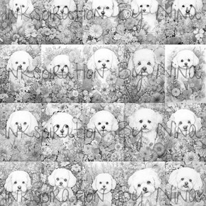 Bichon Frise in Flowers Coloring Book, 20 Detail Greyscale Adult & Kids ...
