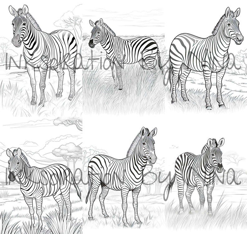 Zebra Grazing African Plains Coloring Book, 24 Detail Greyscale Adult ...