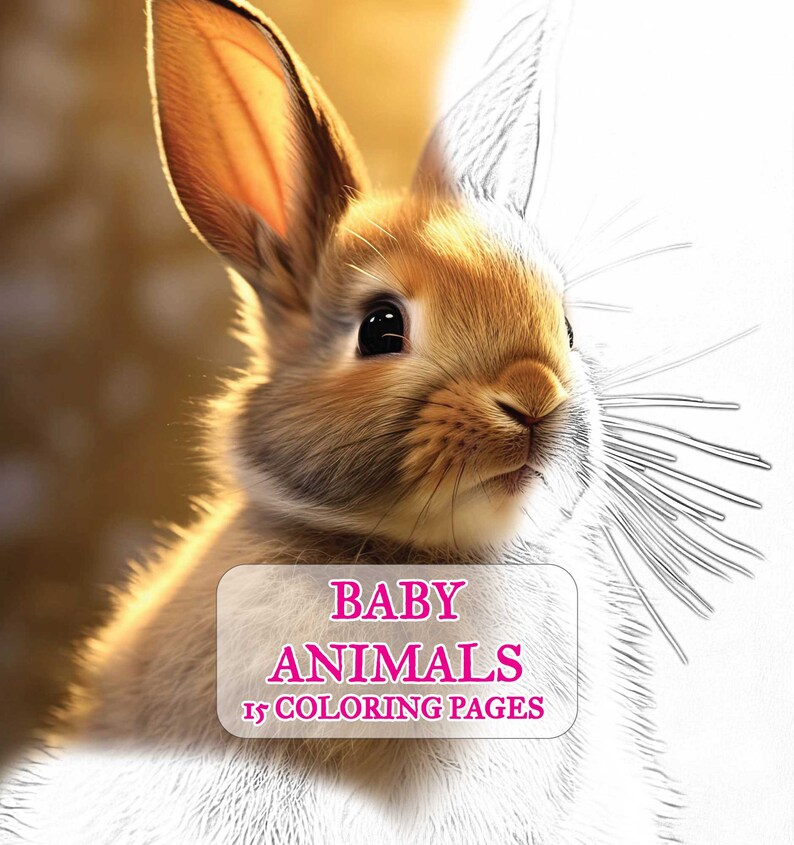 Baby Animals 15 Coloring Pages A4 Size Premium Printable Adult and ...