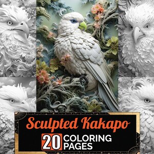 Sculpted Kakapo Bird Coloring Pages, 20 Premium Adult Coloring Sheets ...