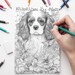 Cavalier King Charles Spaniel Coloring Pages, 20 Premium Coloring ...