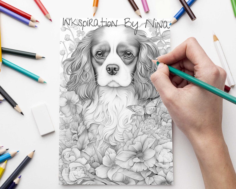 Cavalier King Charles Spaniel Coloring Pages, 20 Premium Coloring ...