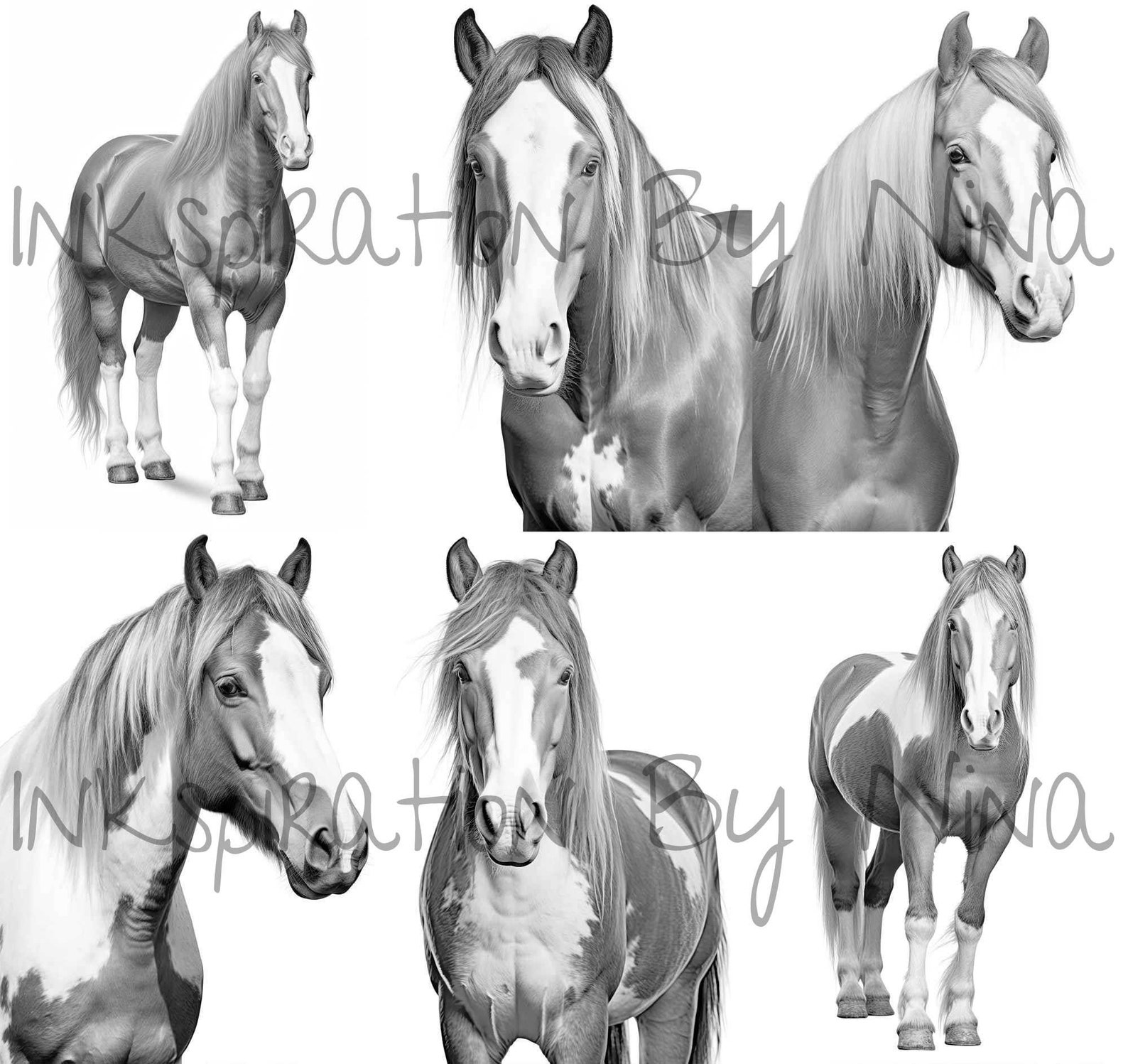 Wild Brown White Horse Coloring Pages, 24 Premium Adult Coloring Sheets ...