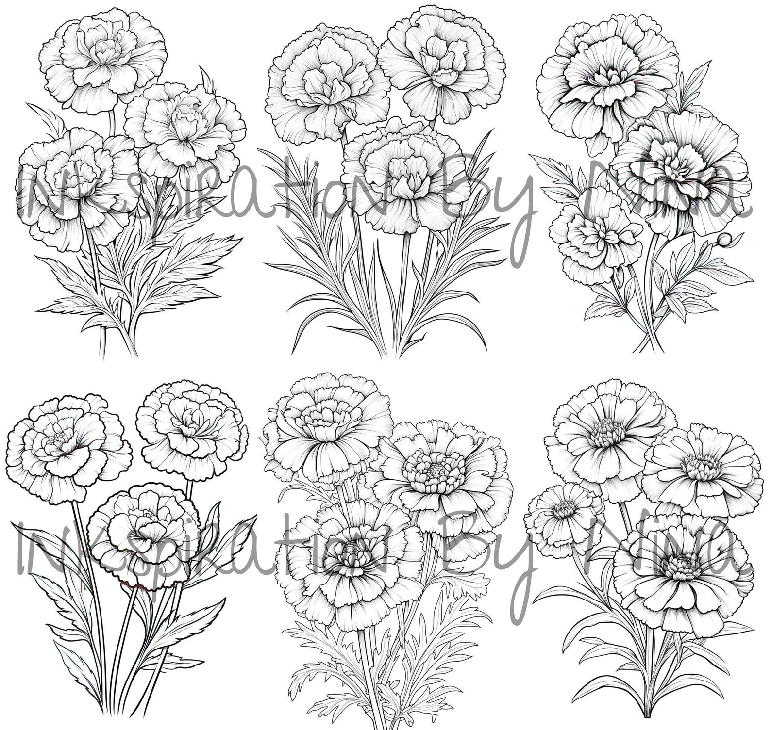 Marigold Flower Coloring Book, 24 Detail Floral Greyscale Adult & Kids ...