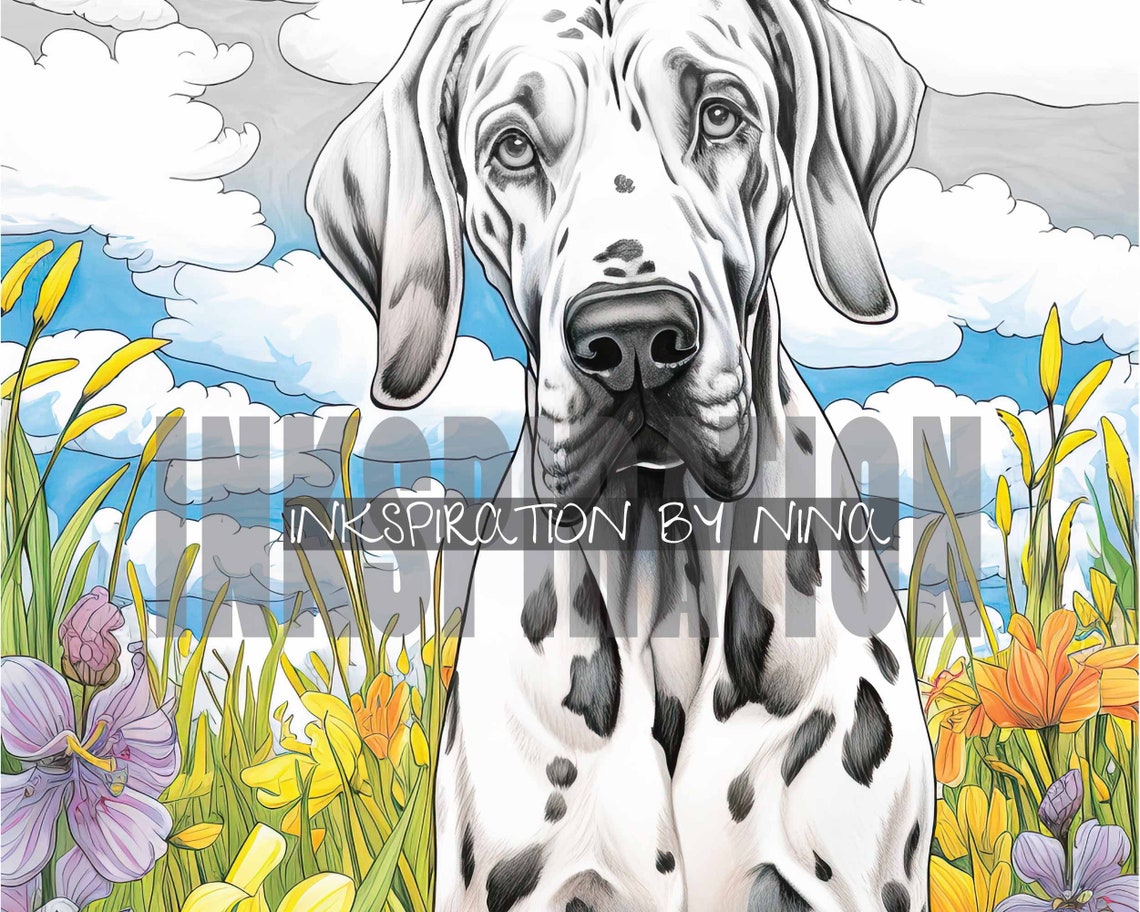 Great Dane Enjoying Outside Coloring Pages, 20 Premium Coloring Sheets ...