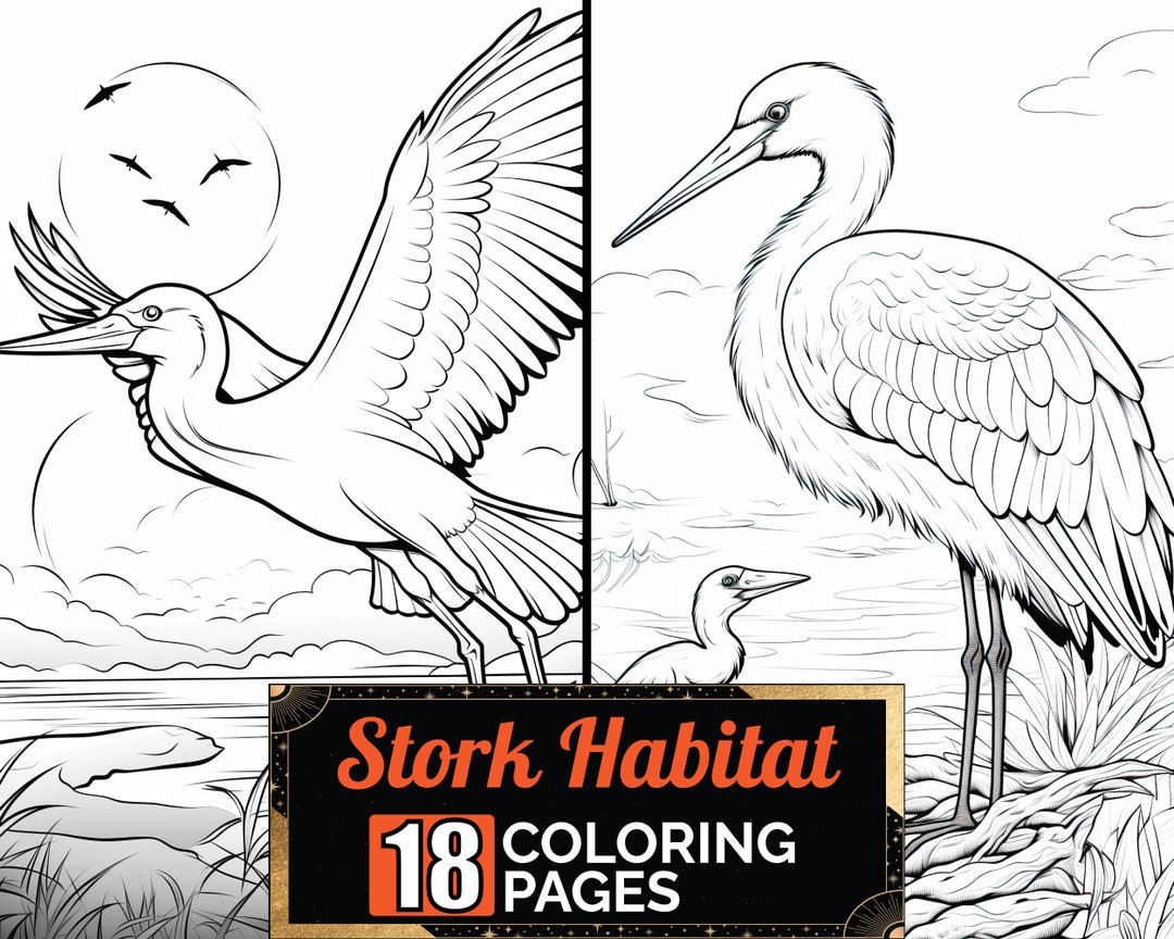 Stork Natural Habitat Coloring Book, 18 Detail Greyscale Adult & Kids ...