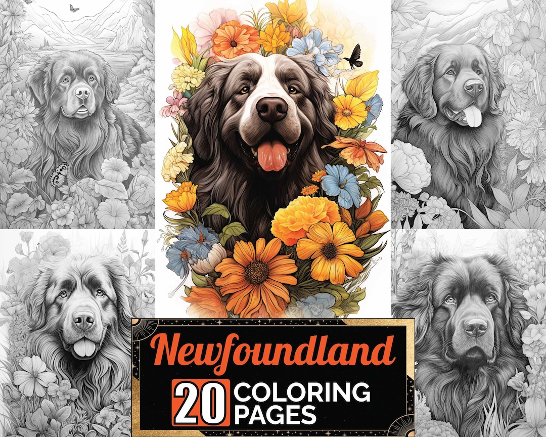 Newfoundland Dog Flowers Coloring Pages, 20 Premium Adult & Kids ...