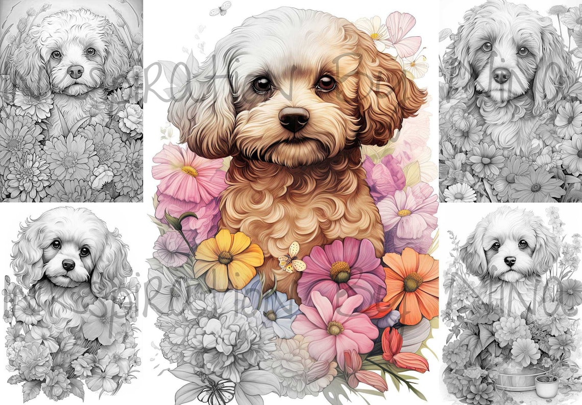 Cavapoo in Flowers Coloring Pages, 20 Premium Coloring Sheets, Coloring ...