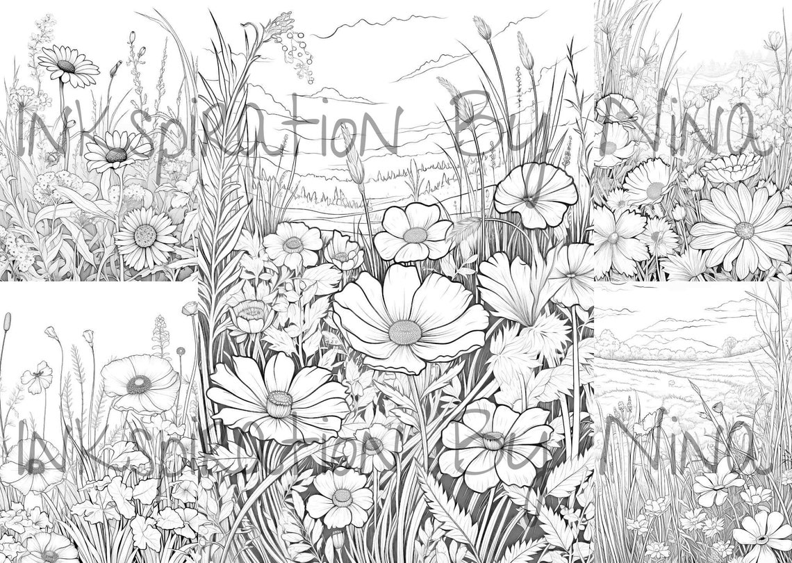 Wildflowers Meadow Coloring Book, 21 Detail Greyscale Adult & Kids ...