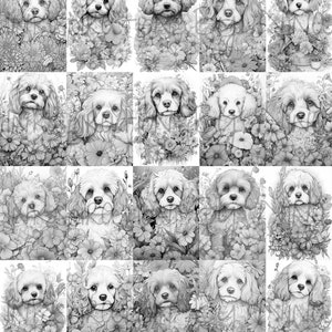 Cavapoo in Flowers Coloring Pages, 20 Premium Coloring Sheets, Coloring ...
