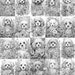 Cavapoo in Flowers Coloring Pages, 20 Premium Coloring Sheets, Coloring ...
